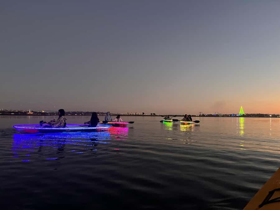 San Diego: Glass Kayak Tour - Why the Clear Kayaks Make a Difference