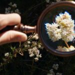 San Diego: Guided Natural History Walk - Who Will Love This Tour?