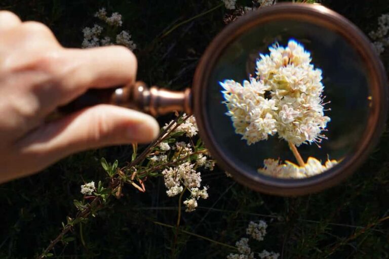 San Diego: Guided Natural History Walk - Who Will Love This Tour?