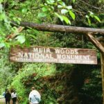 San Francisco: Muir Woods, Sausalito, & Battery Spencer Tour - Why Choose This Tour?