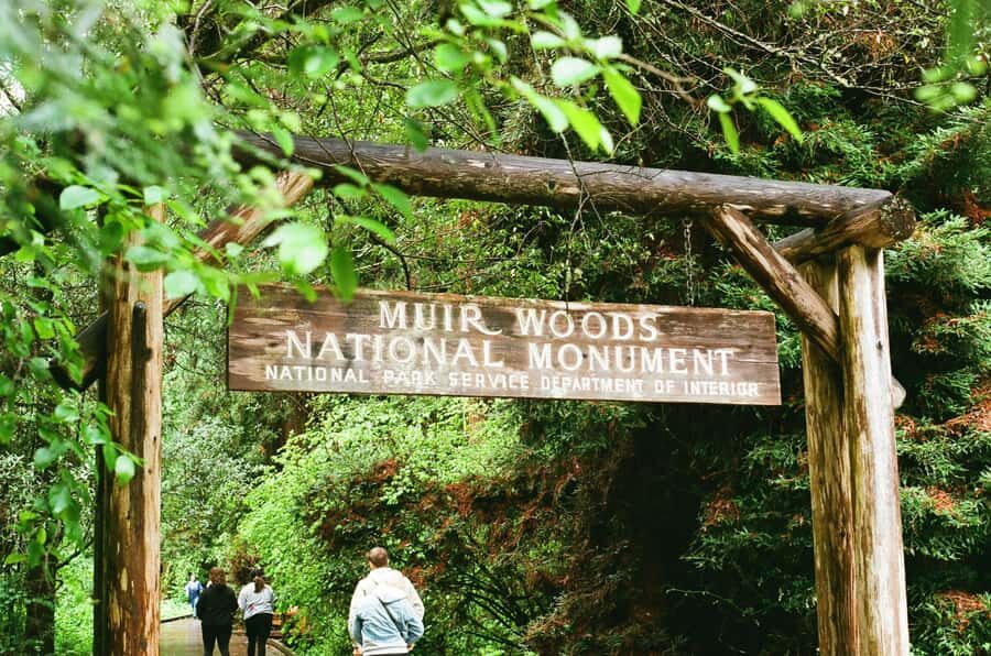 San Francisco: Muir Woods, Sausalito, & Battery Spencer Tour - Why Choose This Tour?