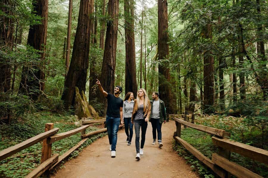 San Francisco: Muir Woods & Sausalito Tour w/Alcatraz - Transportation, Guides, and Overall Value