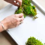 San Francisco Photo Tour with a Private Photographer - The Itinerary: What You’ll See and Do