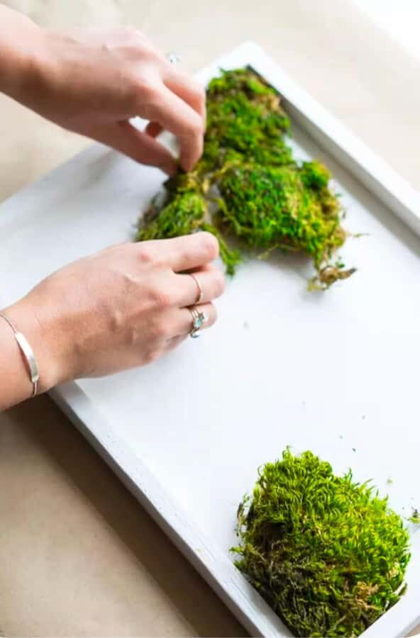 San Francisco Photo Tour with a Private Photographer - The Itinerary: What You’ll See and Do