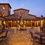 San Francisco to Sonoma Private 6 Hour Wine Tour - up to 4 guests - A Deep Dive into the Sonoma Wine Tour Experience