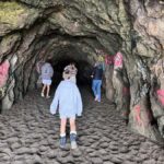 San Francisco: Wild Coast Tour - Key Points