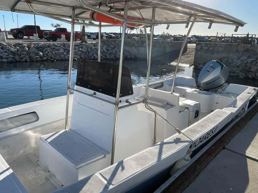 San José del Cabo: Private Fishing - Is It Worth the Price?