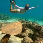 San Juan Guided Snorkel With Turtles Tour and Videos - Experiences Highlighted by Travelers