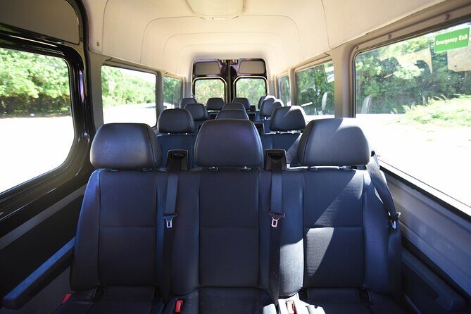 San Juan Luxury Private Round-Trip Transfer: SJU Airport - Cruise Pier - Hotel - The Itinerary: What to Expect