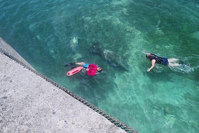 San Juan Snorkel with Turtles and Manatee's; Free Video and Rum! - The Challenges and Considerations