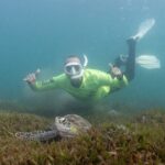 San Juan Snorkeling Tour with Fish and Turtles - What Makes This Tour Stand Out