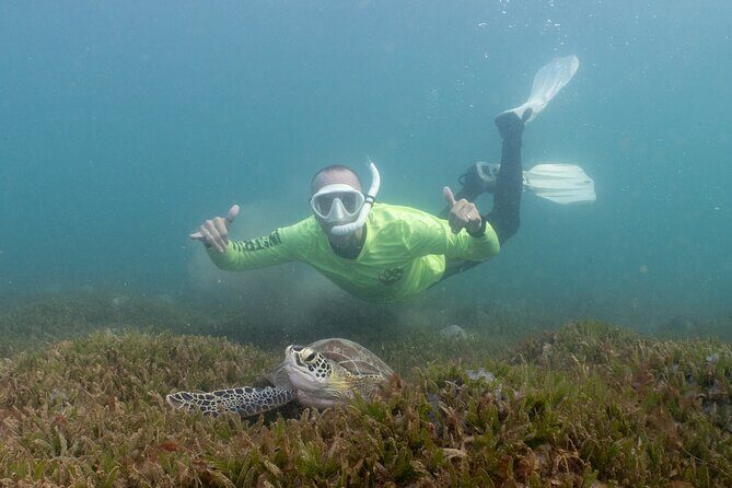 San Juan Snorkeling Tour with Fish and Turtles - What Makes This Tour Stand Out