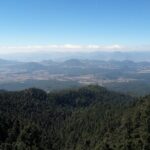 San Miguel de Allende Monarch Butterflies Tour - Is the Value Worth the Price?