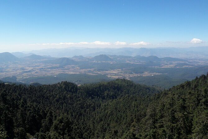 San Miguel de Allende Monarch Butterflies Tour - Is the Value Worth the Price?