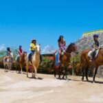 Sand n Saddle Horseback Ride & Swim Tour from Falmouth - Who Will Love This Tour?