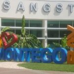 Sandals South Coast Airport Transfer - The Actual Journey: From Montego Bay to Sandals South Coast