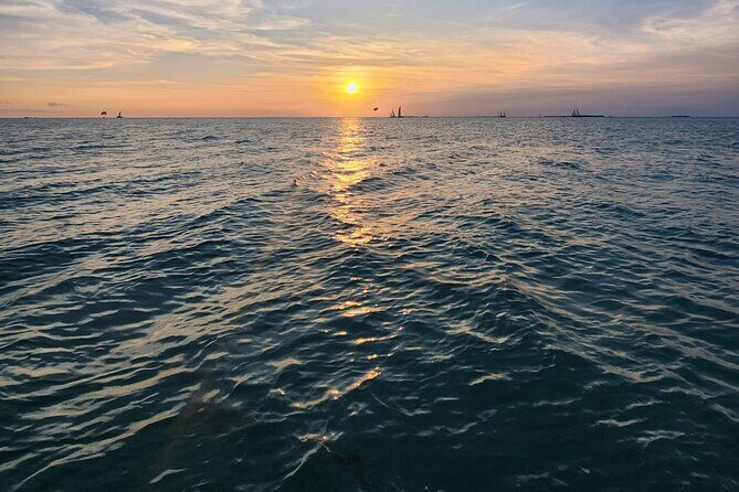 Sandbar Excursions with Snorkeling and Sunset Cruises in Key West - The Experience: What Sets This Tour Apart