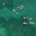 Sandbar Snorkel Combo Adventure - What Travelers Can Expect from the Experience