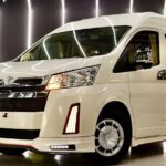 Sangster Intl Airport and Princess Hotel Jamaica Transfer - What to Expect During Your Ride