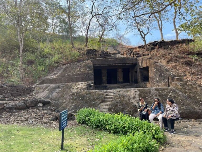 Sanjay Gandhi National Park + Kenheri Caves + Lion Safari - An Authentic Look at the Experience