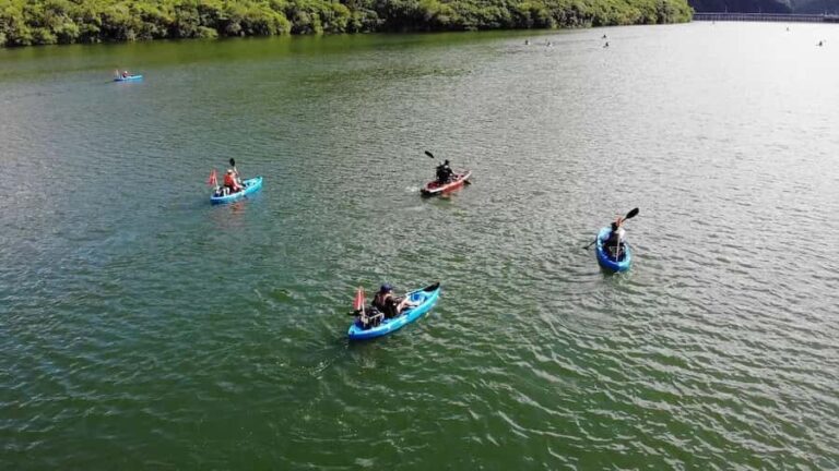 Santiago: Guided kayak tour at La Boca Dam - Final thoughts: Who should consider this kayak tour?