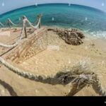 Santo Domingo: Bahía de las Águilas Private Day Trip - How This Tour Balances Value and Experience