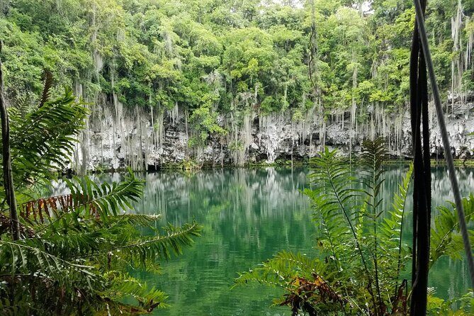 Santo Domingo Full Day Tour from Punta Cana with Lunch - Who Is This Tour Best For?