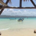 Santo Domingo: Full Day Tour to Paradise Island - Cayo Arena - What Travelers Are Saying