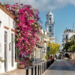Santo Domingo Full Day Trip from Punta Cana - Who Will Love This Tour?