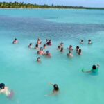 Santo Domingo: Isla Saona Day Trip with Lunch & Catamaran - Transportation and Logistics