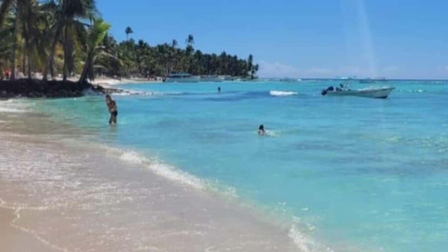 Santo Domingo: Isla Saona Day Trip with Lunch & Drinks - Final Thoughts: Is It Worth It?