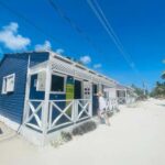 Santo Domingo: Saona Island Day Trip with Lunch & Drinks - What Makes This Tour Stand Out?