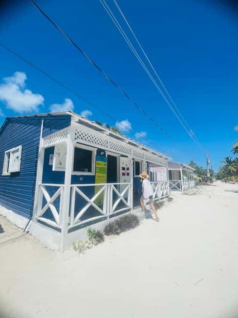 Santo Domingo: Saona Island Day Trip with Lunch & Drinks - What Makes This Tour Stand Out?