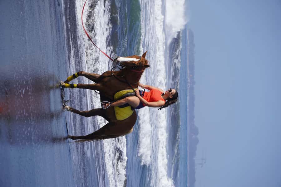 Sanur: Horse Riding at the Bali Beach 30 minute ride - Practical Details: Booking, Duration, and Costs