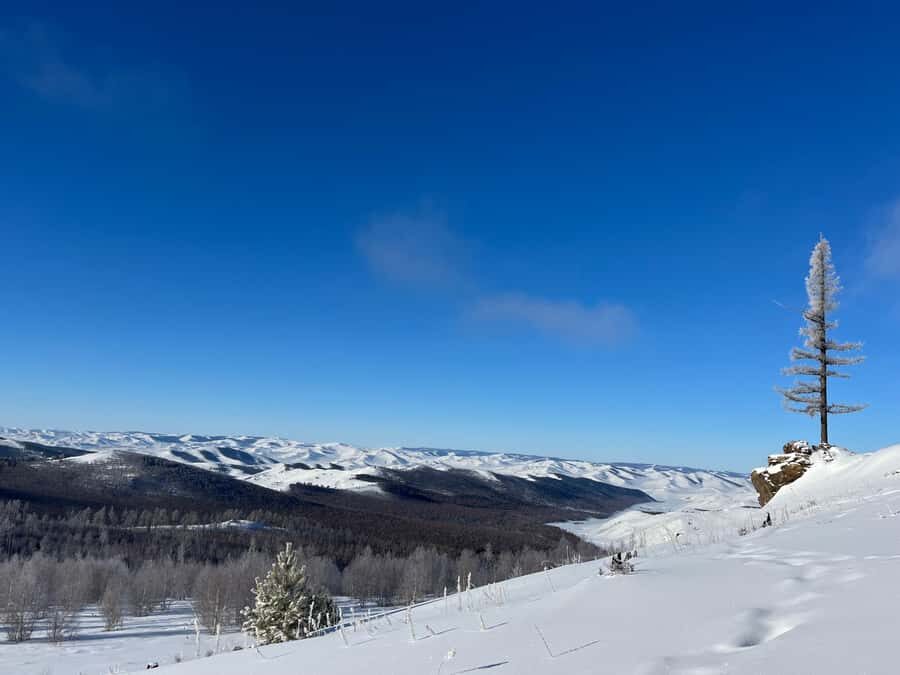 Sanzai: Selbe River Reservoir Hike with Lunch - Practical Info and Considerations