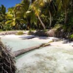Saona and Mano Juan Private Tour by speedboat from Punta Cana - Practical Details: What You Need to Know