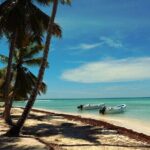 Saona Bayahibe Island Day Trip - Who Is This Tour Best For?