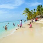 Saona Bayahibe Island Day Trip - What Travelers Say