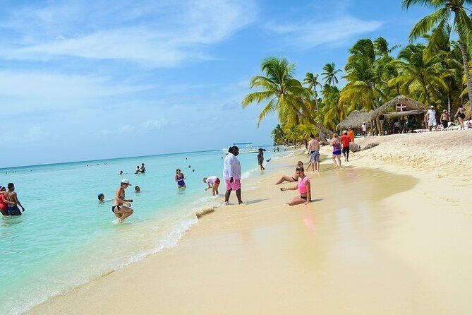 Saona Bayahibe Island Day Trip - What Travelers Say