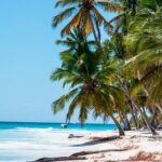 Saona Catamaran Cruise with Lunch and Natural Swimming Pool - The Downsides to Consider