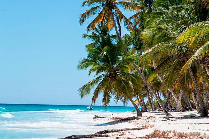 Saona Catamaran Cruise with Lunch and Natural Swimming Pool - The Downsides to Consider