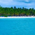 Saona Island Adventure - What’s Included and What’s Not