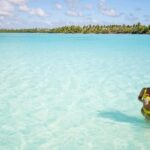 Saona Island Adventure from Punta Cana - From Booking to Experience: Practical Details