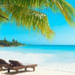 Saona Island Adventure From Santo Domingo - The Value of the Price