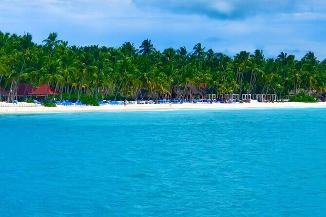 Saona Island Adventure - What’s Included and What’s Not