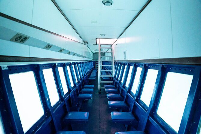 Saona Island at Yellow Submarine Exclusive Tour from Punta Cana - Who Should Consider This Tour?