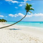 Saona Island Catamaran Cruise with Buffet - A Closer Look at the Experience