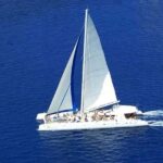 Saona Island: Catamaran/Speedboat Tour to a Dream Beach - The Practical Details: What to Expect