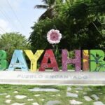 Saona Island Catamaran Tour Buffet & Open Bar from Punta Cana - Final Thoughts: Who Is This Tour Best For?