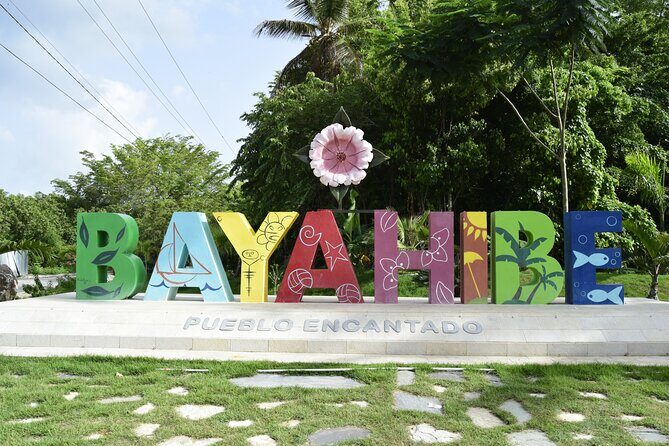 Saona Island Catamaran Tour Buffet & Open Bar from Punta Cana - Final Thoughts: Who Is This Tour Best For?